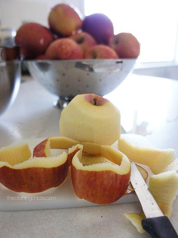 Apple Crisp a la mode - The Crafting Chicks