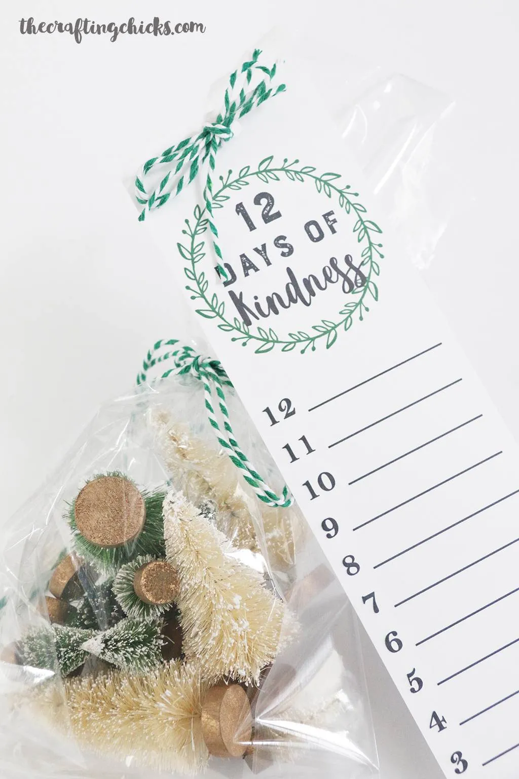 12 Days of Kindness - The Crafting Chicks