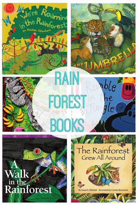 Rainforest Books for Kids