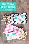 Truffula Tree Seeds *Free Printable - The Crafting Chicks