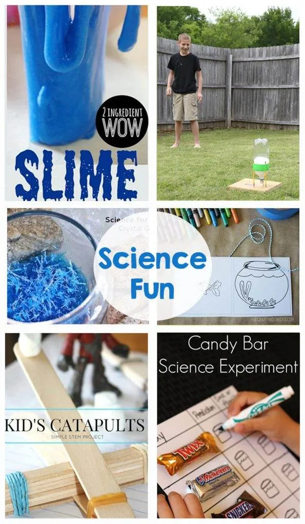 Science Fun - The Crafting Chicks