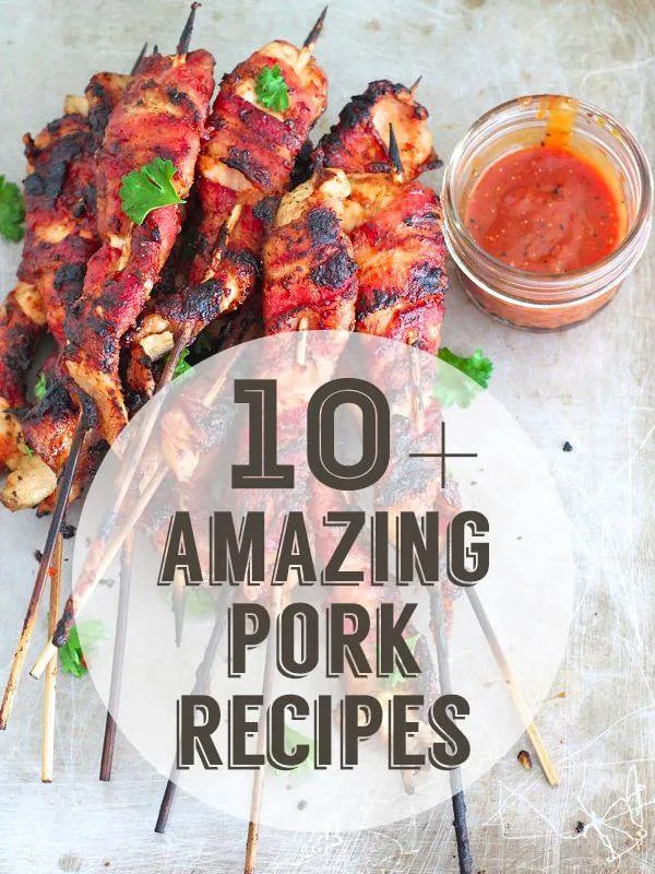 10 Amazing Pork Recipes - The Crafting Chicks