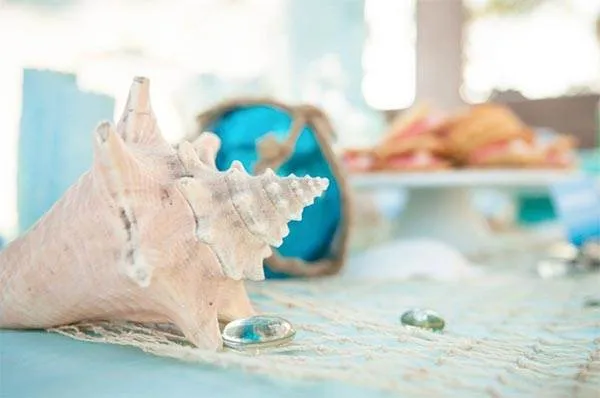 DIY Seashell Boats - The Crafting Chicks