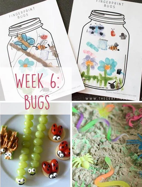Bug Week Recap - The Crafting Chicks