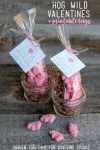 I Am Hog Wild About You Valentines & Printable Tags - The Crafting Chicks