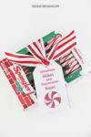 Peppermint Gift Tag Printable - Perfect for Christmas Gifts - The ...