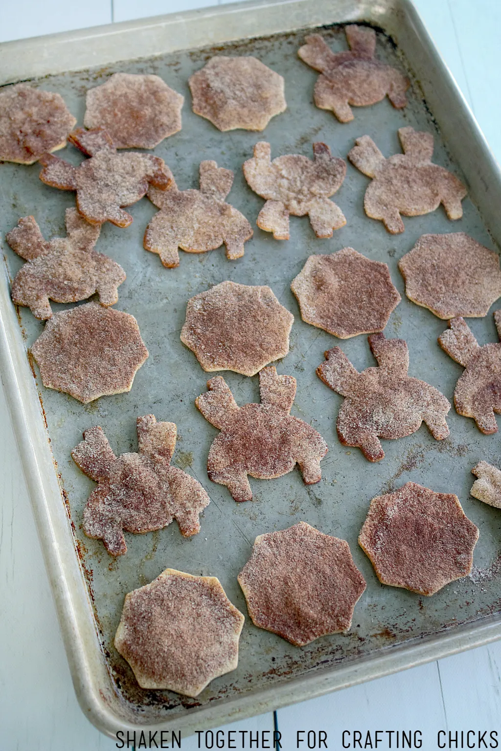 Cinnamon Sugar Spider Chips - The Crafting Chicks