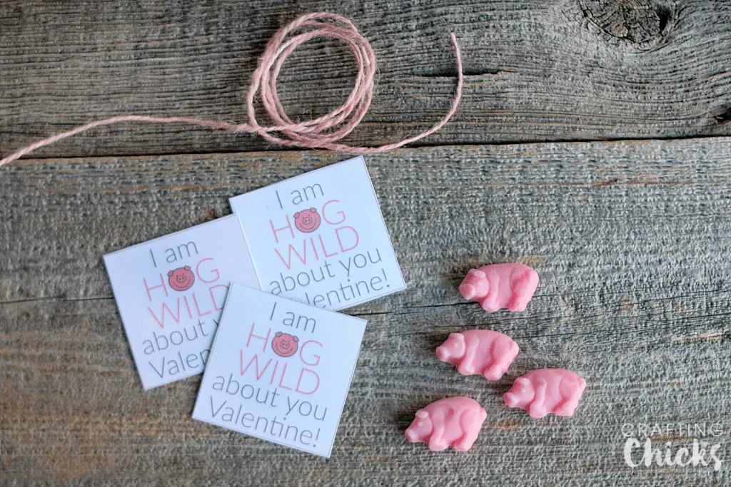 I Am Hog Wild About You Valentines & Printable Tags - The Crafting Chicks