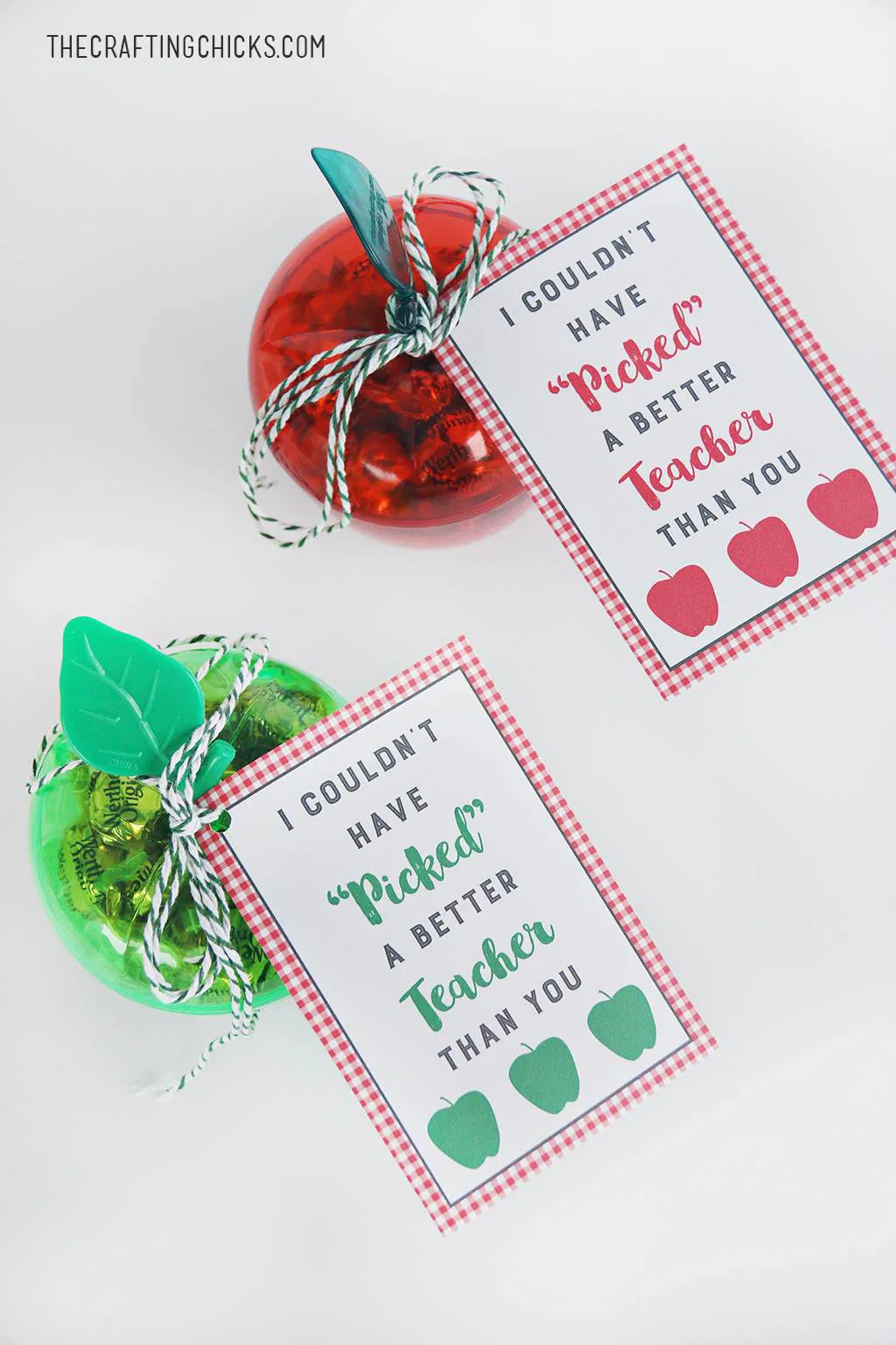 Apple Teacher Gift Tag Printable - The Crafting Chicks