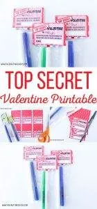 Top Secret Valentine Printable - The Crafting Chicks
