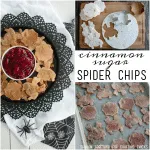 Cinnamon Sugar Spider Chips - The Crafting Chicks