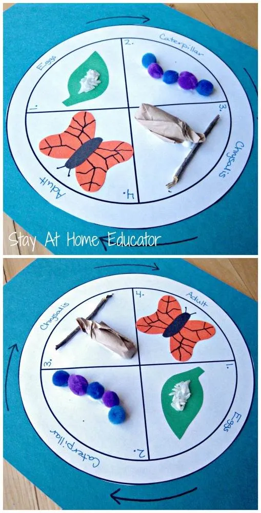 Bugs Activities and Printables - The Crafting Chicks