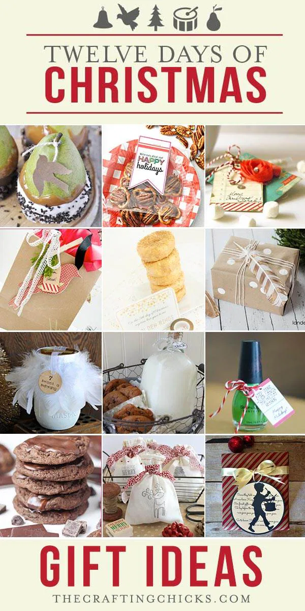 12 Days of Christmas Gift Ideas Part 1 - The Crafting Chicks