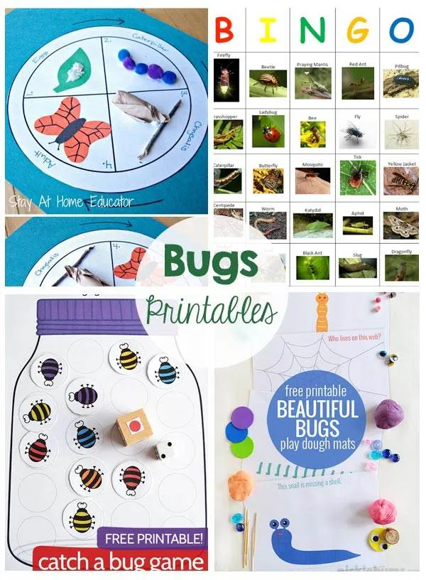 Bugs Activities and Printables - The Crafting Chicks