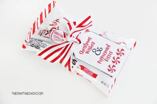 Peppermint Gift Tag Printable - Perfect for Christmas Gifts - The ...