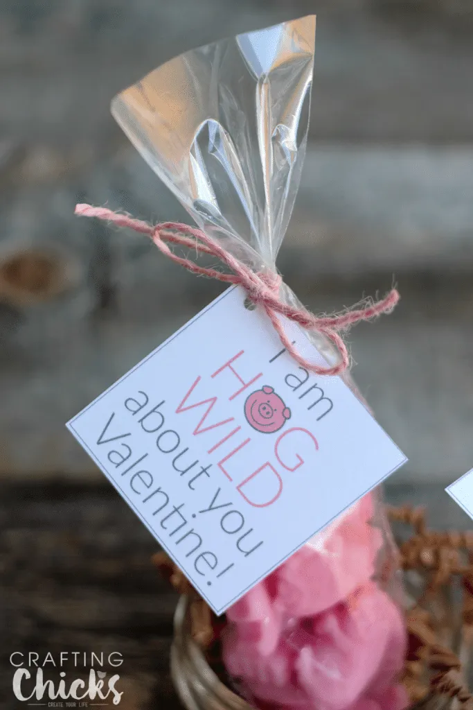 I Am Hog Wild About You Valentines & Printable Tags - The Crafting Chicks