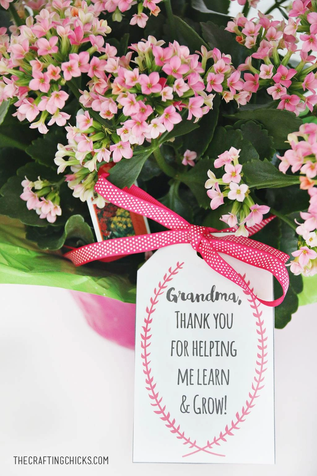 Mother's Day Plant Printable Gift Tags - The Crafting Chicks