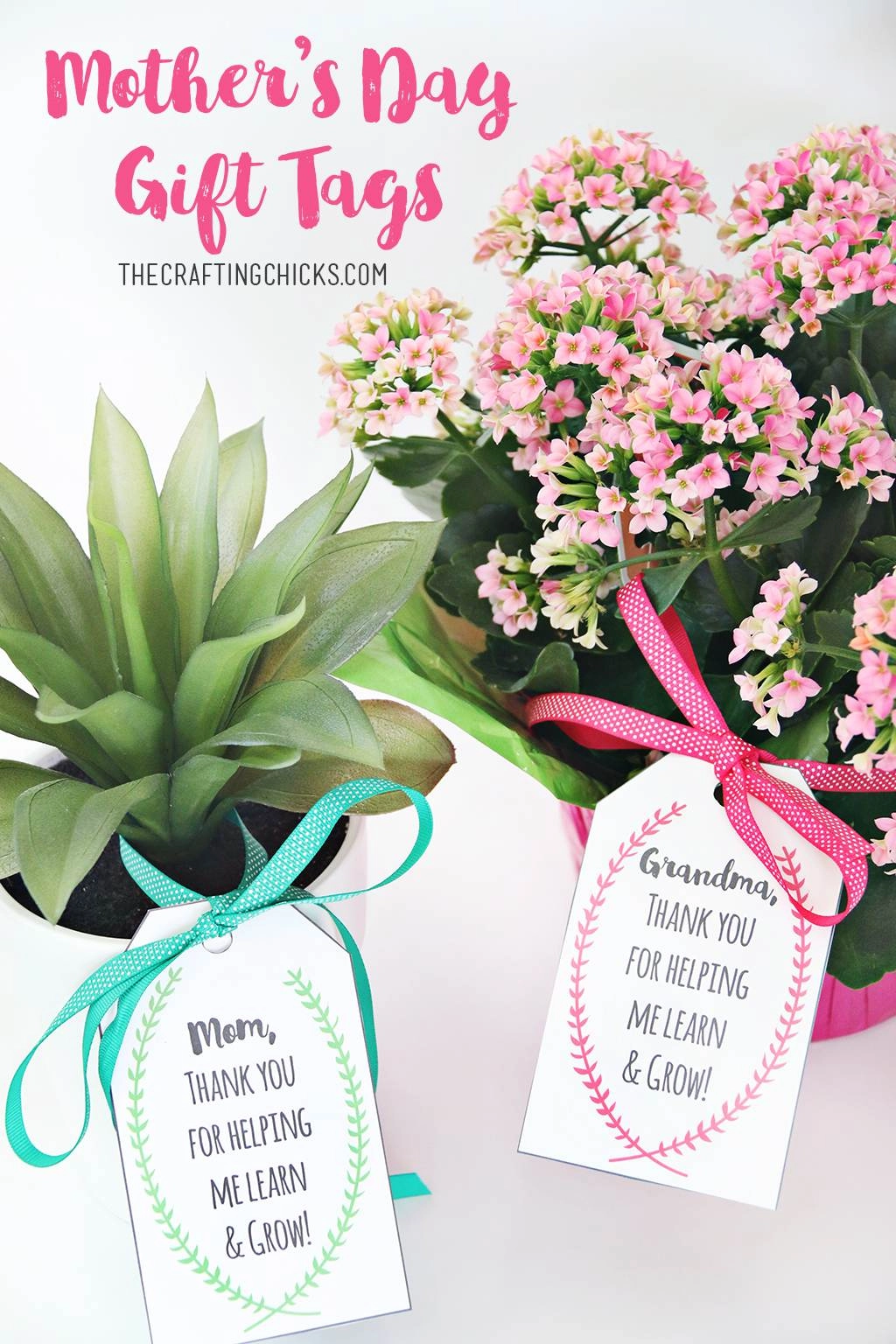 Mother's Day Plant Printable Gift Tags - The Crafting Chicks