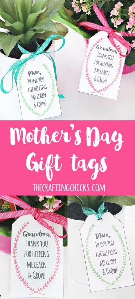 Mother's Day Plant Printable Gift Tags - The Crafting Chicks